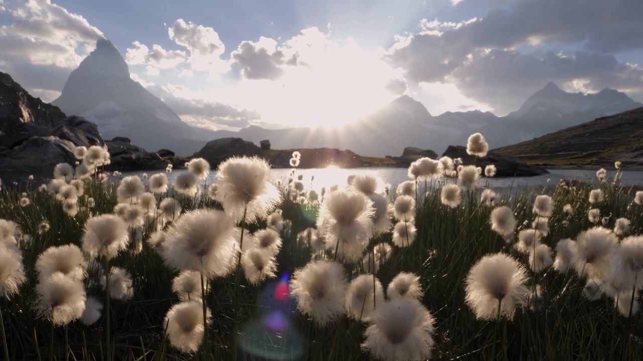 Traueranzeigen von Gerhard Peter Escher | www.vrm-trauer.de